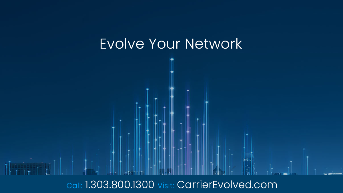 About Massive Networks, Your High Performance Network Carrier